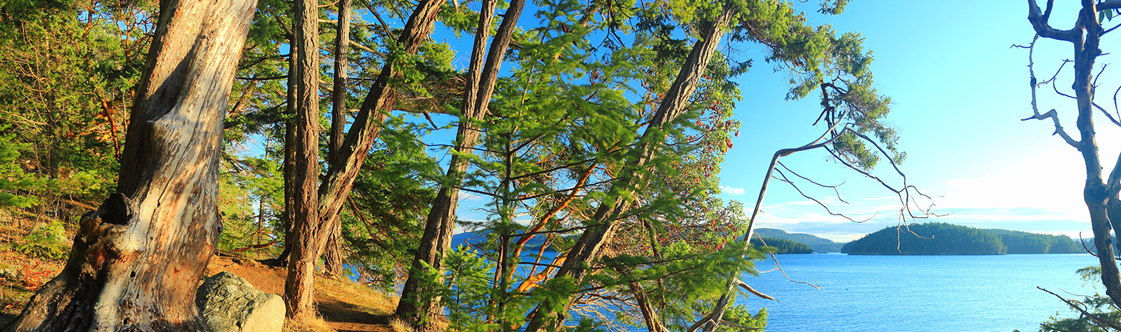 WD McCance & Son Building Service | General Contractor